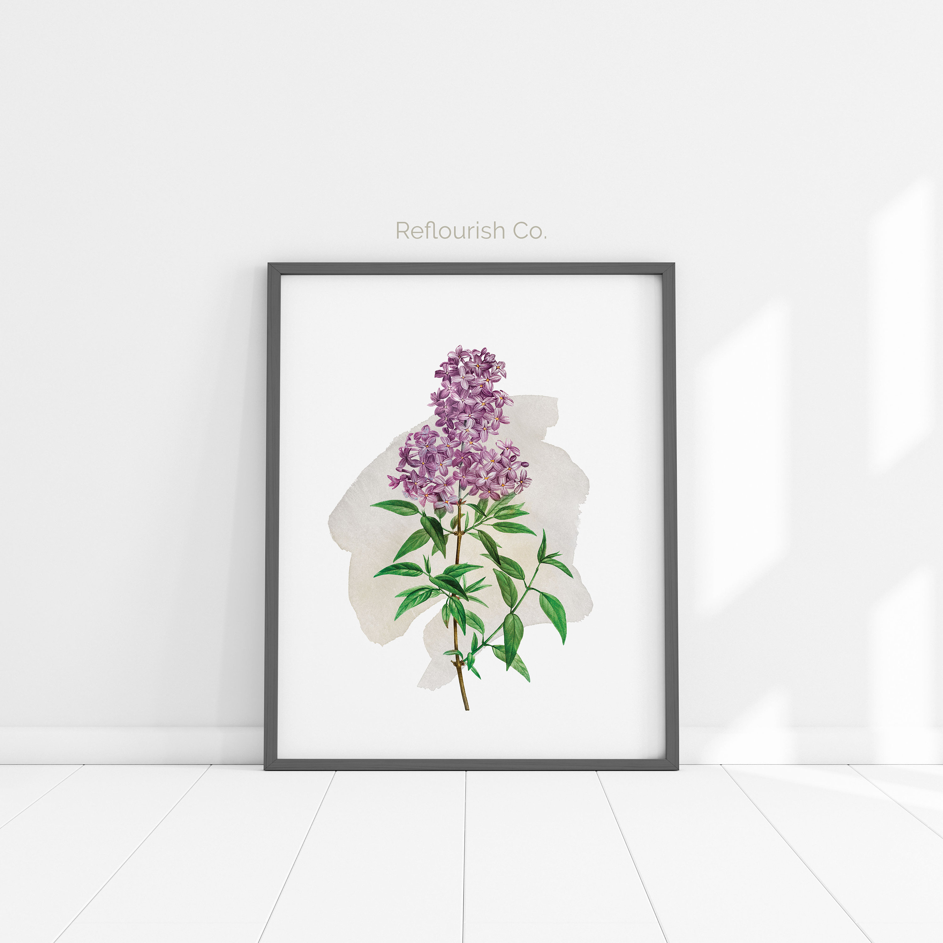 Set of Three Lilac Printables Vintage Botanical Prints - Etsy