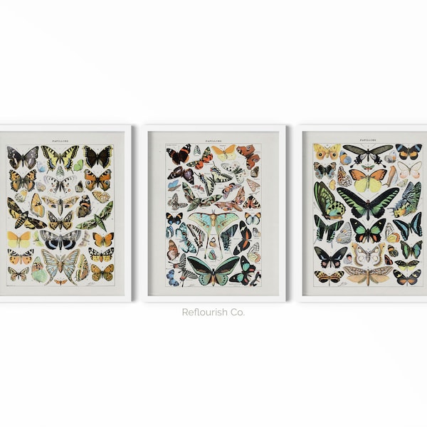 Scientific Prints - Etsy