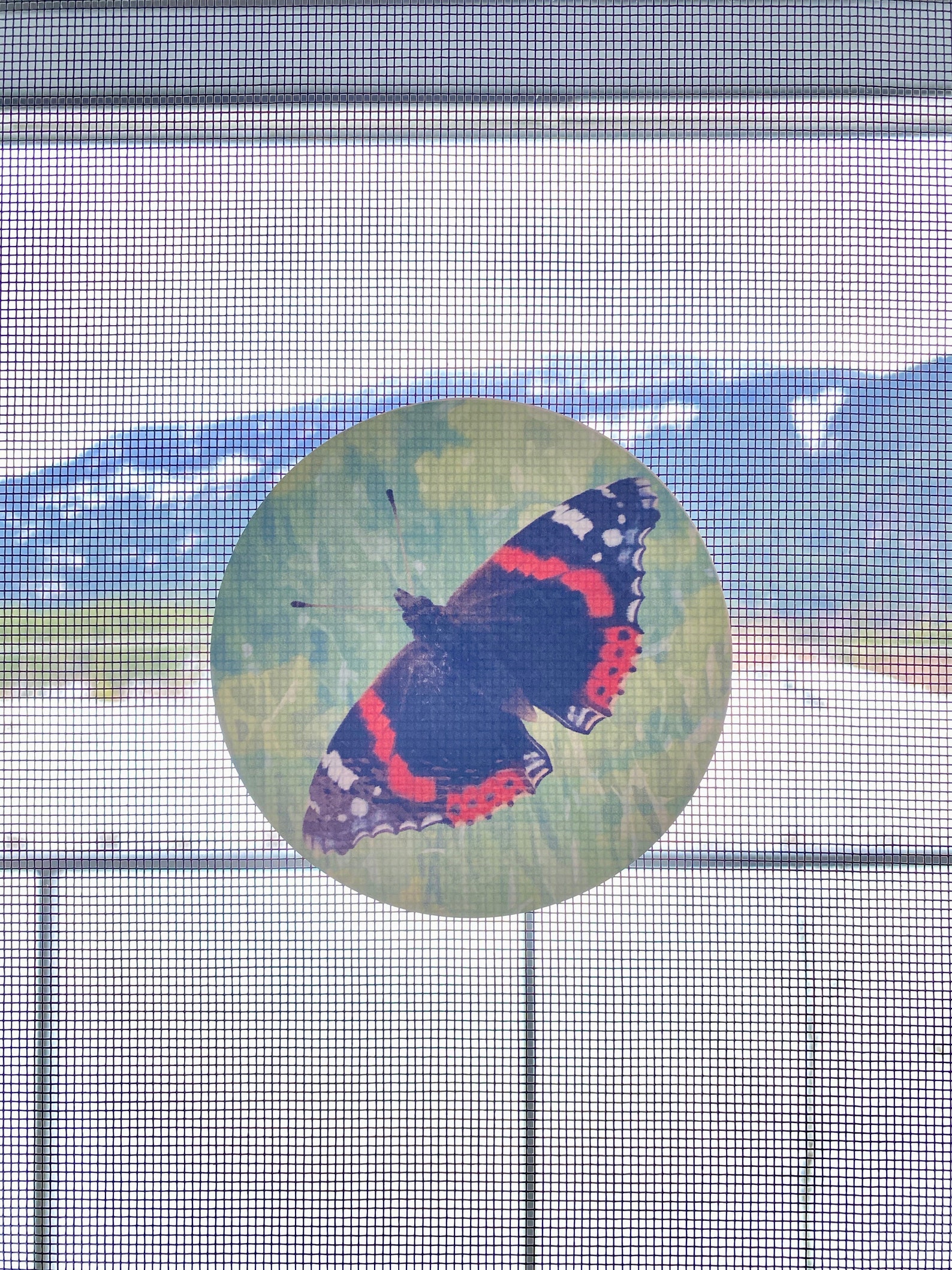 Retractable Screen Door Decals - 6 per Pack - Prevent Collisions Into ...