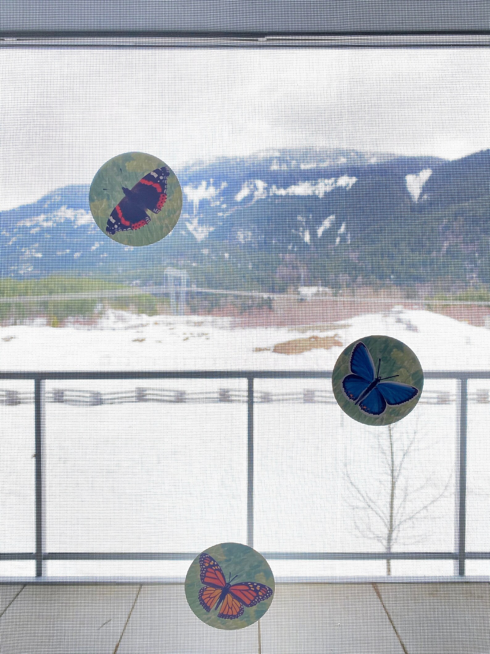 Retractable Screen Door Decals 6 per Pack Prevent - Etsy