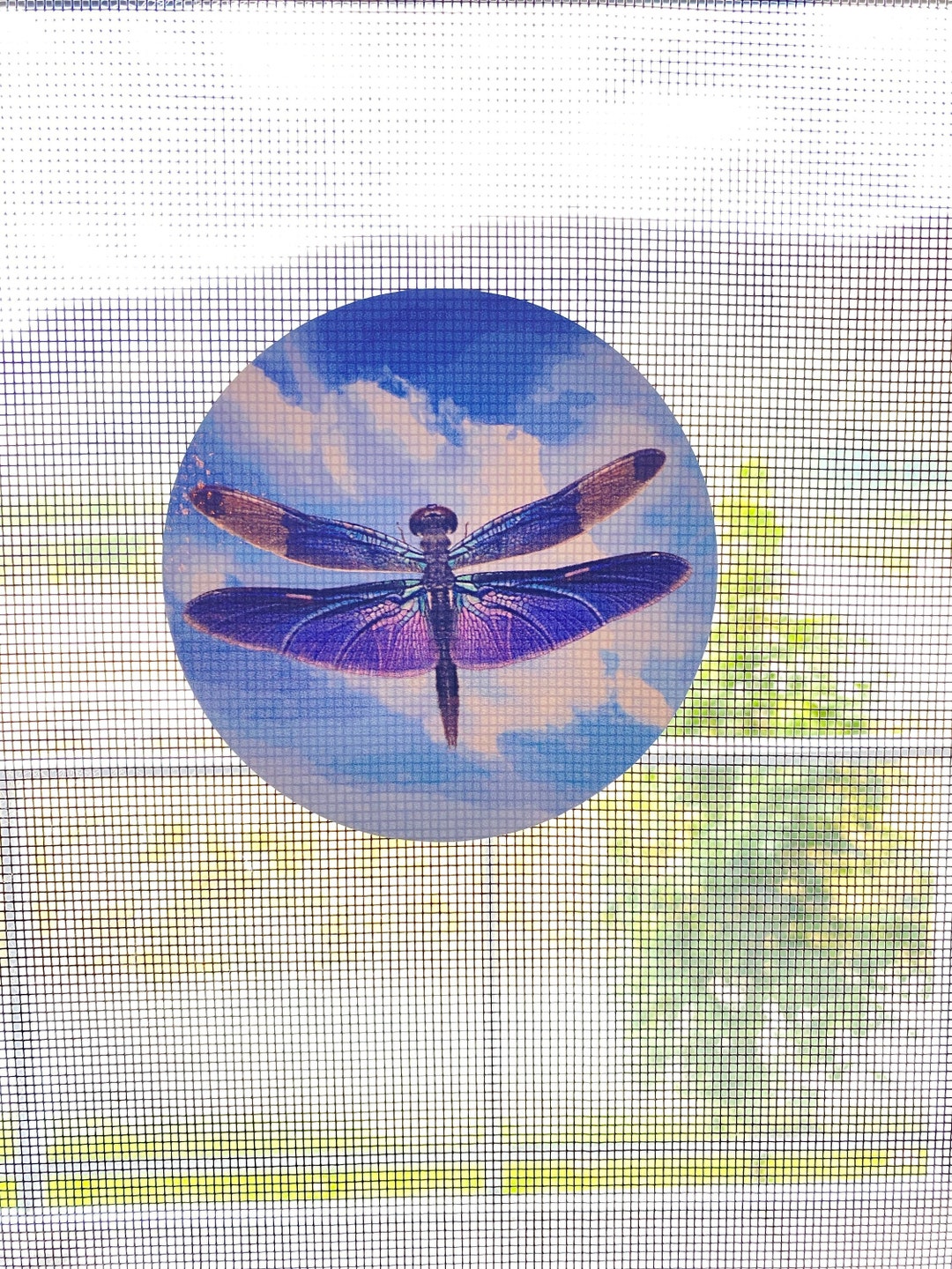 Retractable Screen Door Decals - 6 per Pack - Prevent Collisions Into ...