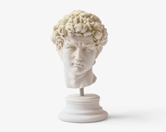 Bust of David Marble - Etsy