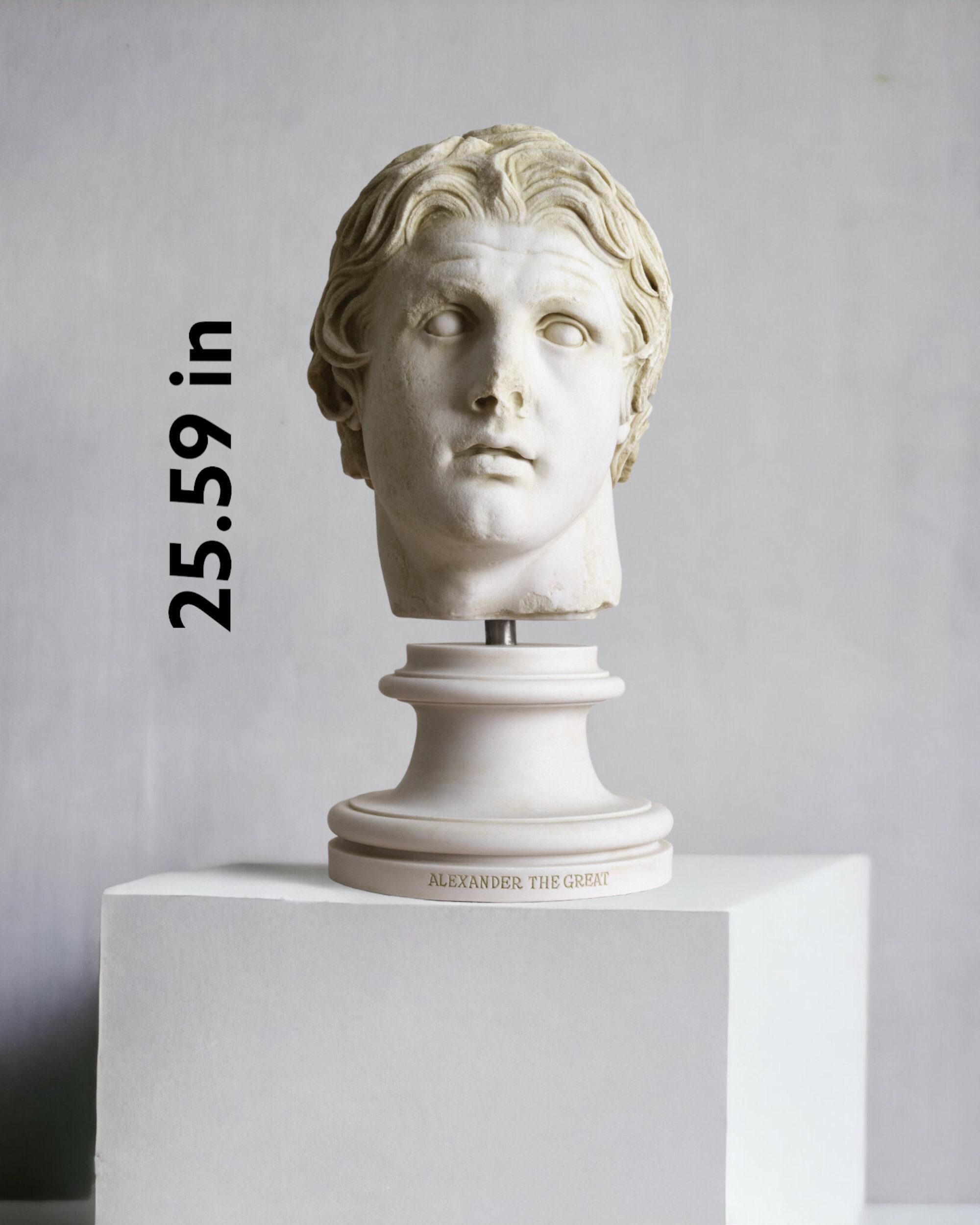 Alexander The Great Statue Bust