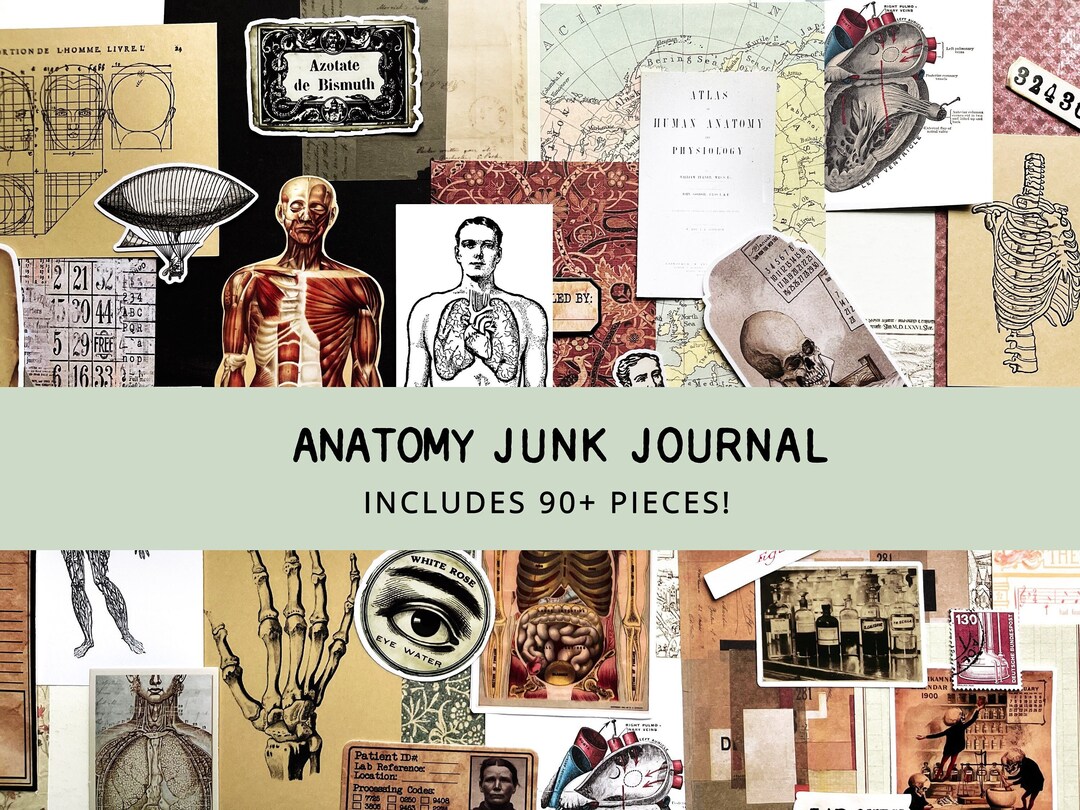 Anatomy Junk Journal Supplies Anatomical Scrapbook Supplies Medical ...