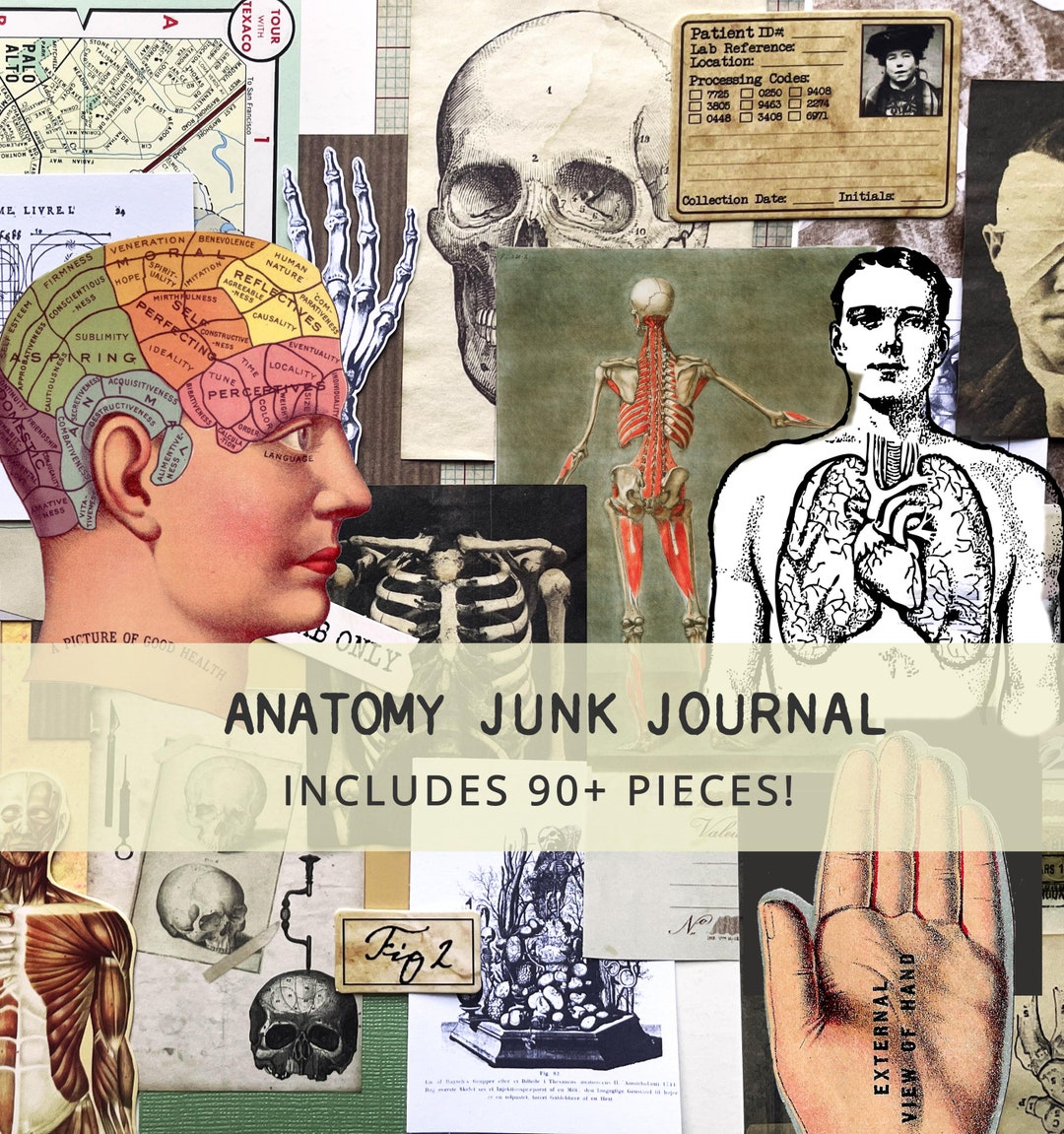 Anatomy Junk Journal Supplies Anatomical Scrapbook Supplies Medical ...