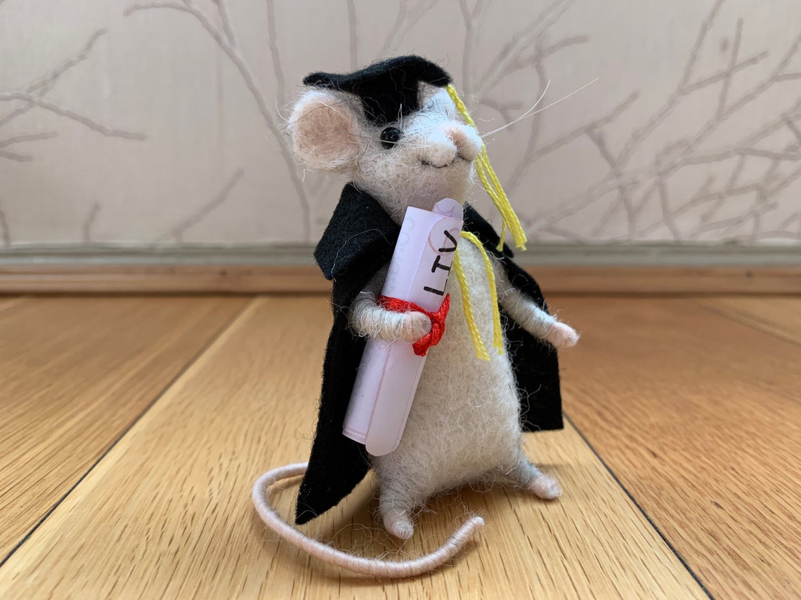 Needle Felted Graduation Mouse Mice Certificate Gift Graduate - Etsy UK