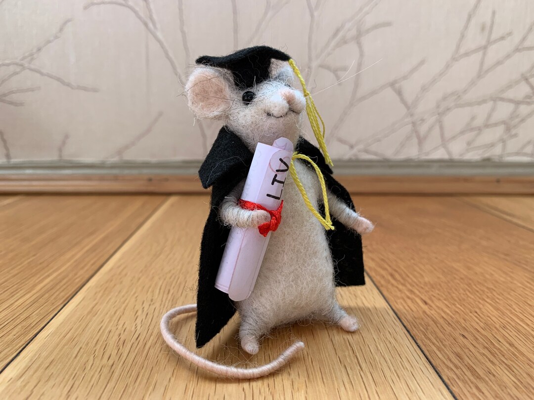 Needle Felted Graduation Mouse Mice Certificate Gift Graduate Felt ...