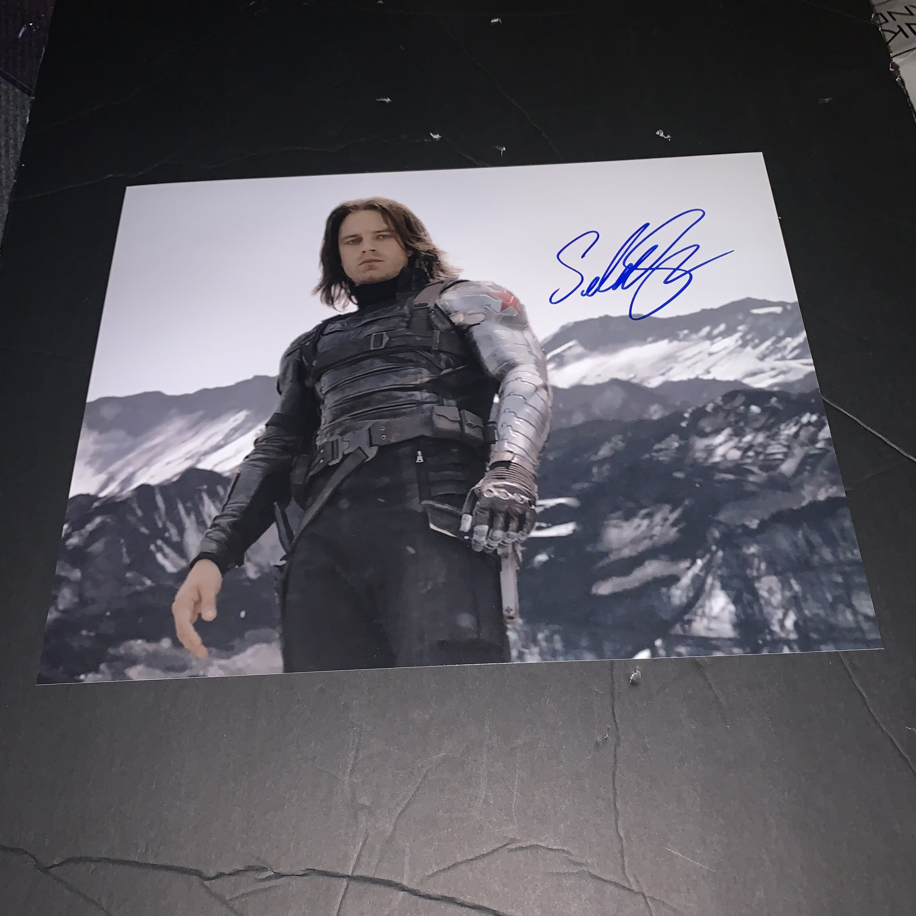 Sebastian Stan Signed 11x14 Photo Bucky Barnes Winter Soldier Avengers ...