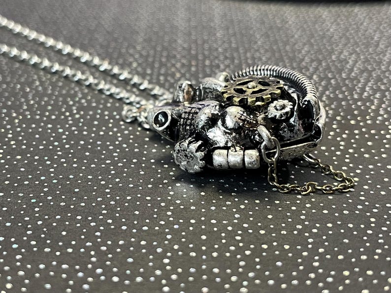 Steampunk Heart Locket Pendant: Stainless Steel Chain Anatomical ...