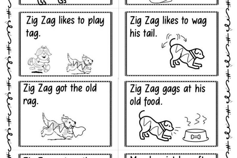 Decodable Readers- Phonics Word Family -ag Practice Worksheets - Etsy ...