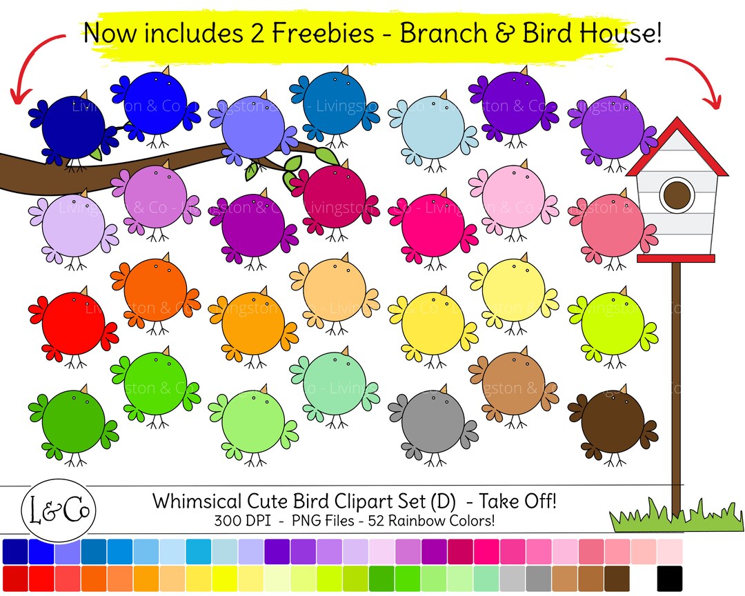 Whimsical Bird Clipart, Cute Birds, Rainbow Birds, PNG Bird Files, Cute ...