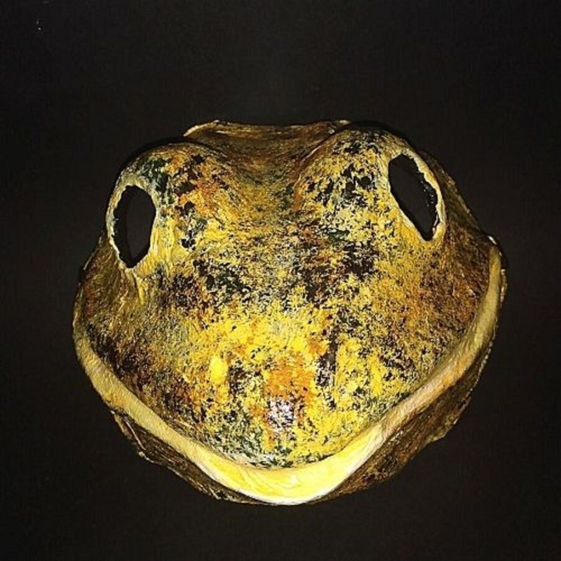Frog Mask - Etsy