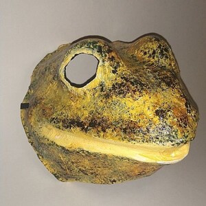 Original Paper Mache Frog Mask, Amphibian Frog, True to Life Species ...