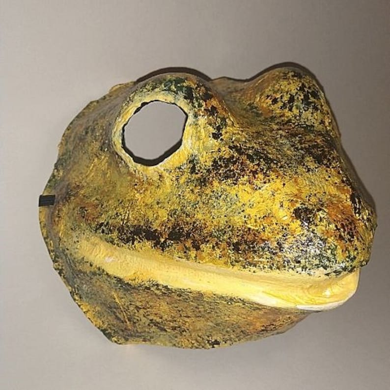 Handmade Paper Mache Frog Mask: Fleischmann's Glass Frog Costume - Etsy