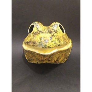 Original Paper Mache Frog Mask, Amphibian Frog, True to Life Species ...