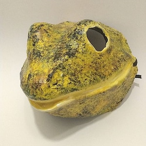 Original Paper Mache Frog Mask, Amphibian Frog, True to Life Species ...