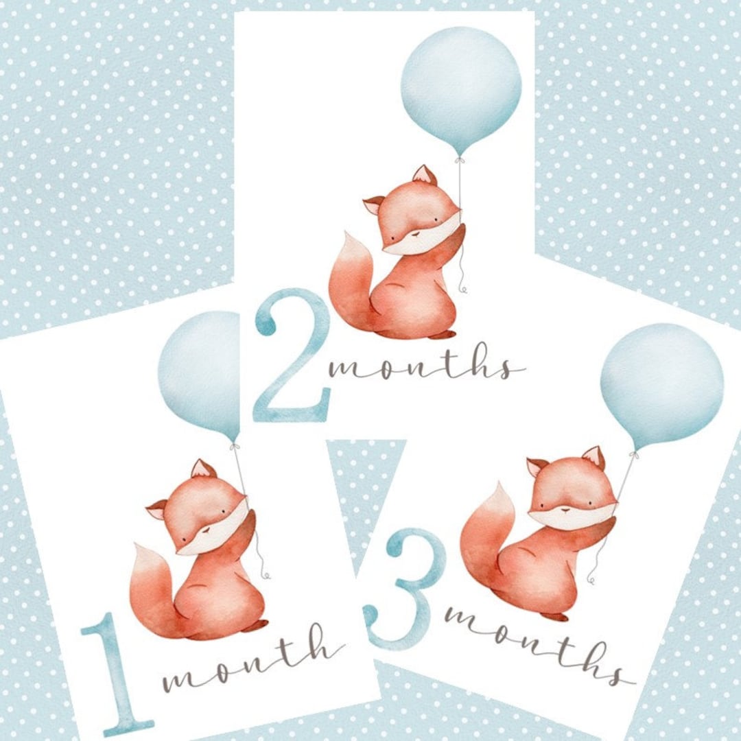 Carte PRIME TAPPE VOLPINA Con Palloncino, Idea Regalo Neonato, Regalo, Fiocco Nascita, Quadretto ...