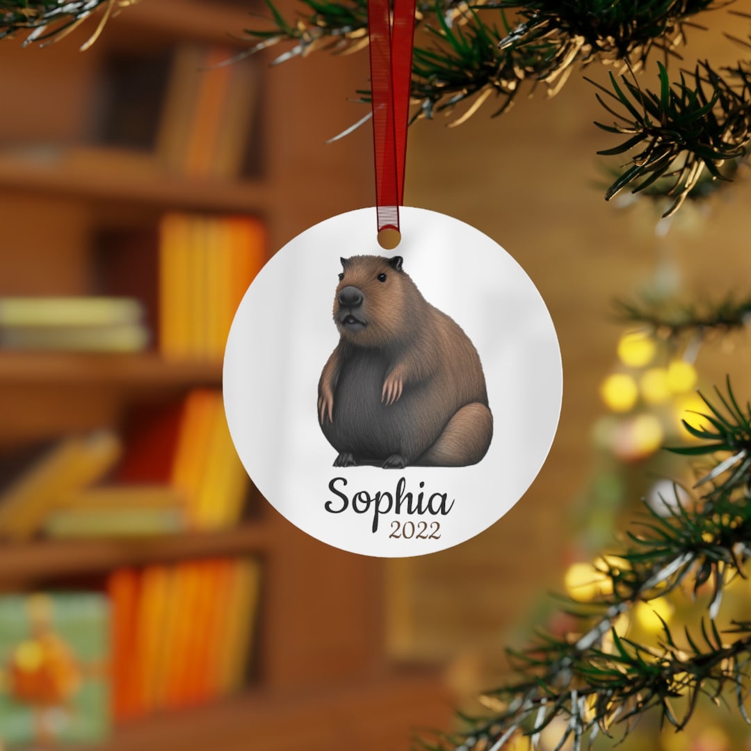 Custom Capybara Ornament Cute Capybara Personalized Christmas - Etsy