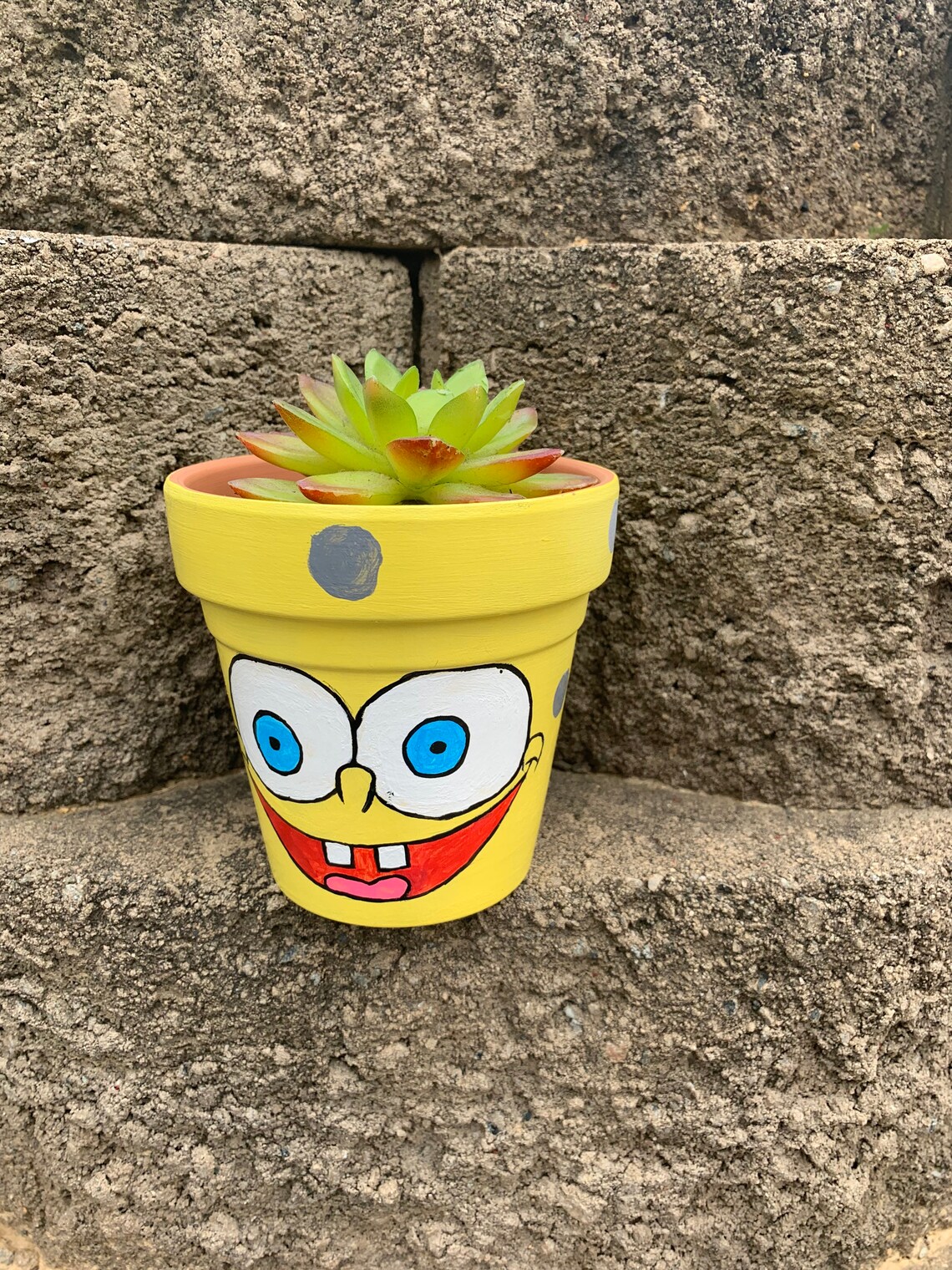 Hand Painted Spongebob Flower Pot Terra Cotta Pot Planter - Etsy