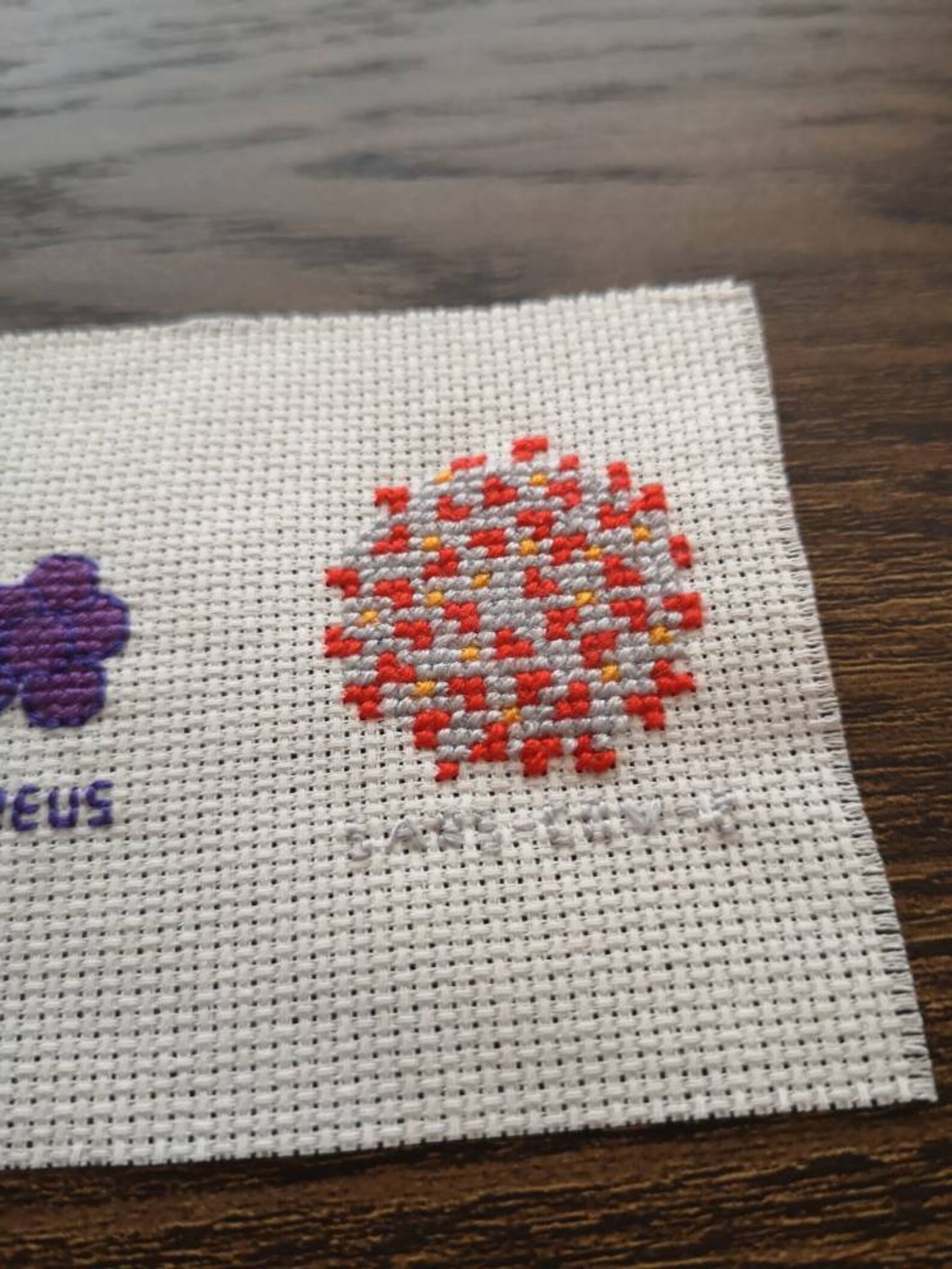 Covid Cross Stitch Pattern Microbe Cross Stitch Virus Cross - Etsy