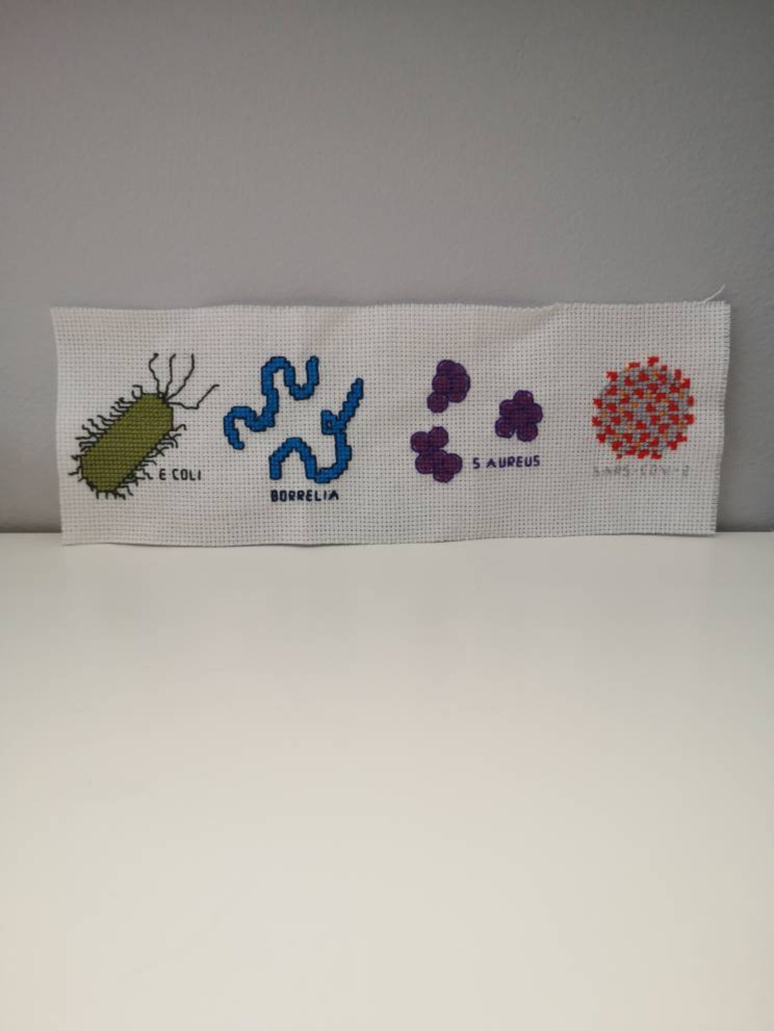 Covid Cross Stitch Pattern, Microbe Cross Stitch, Virus Cross Stitch ...