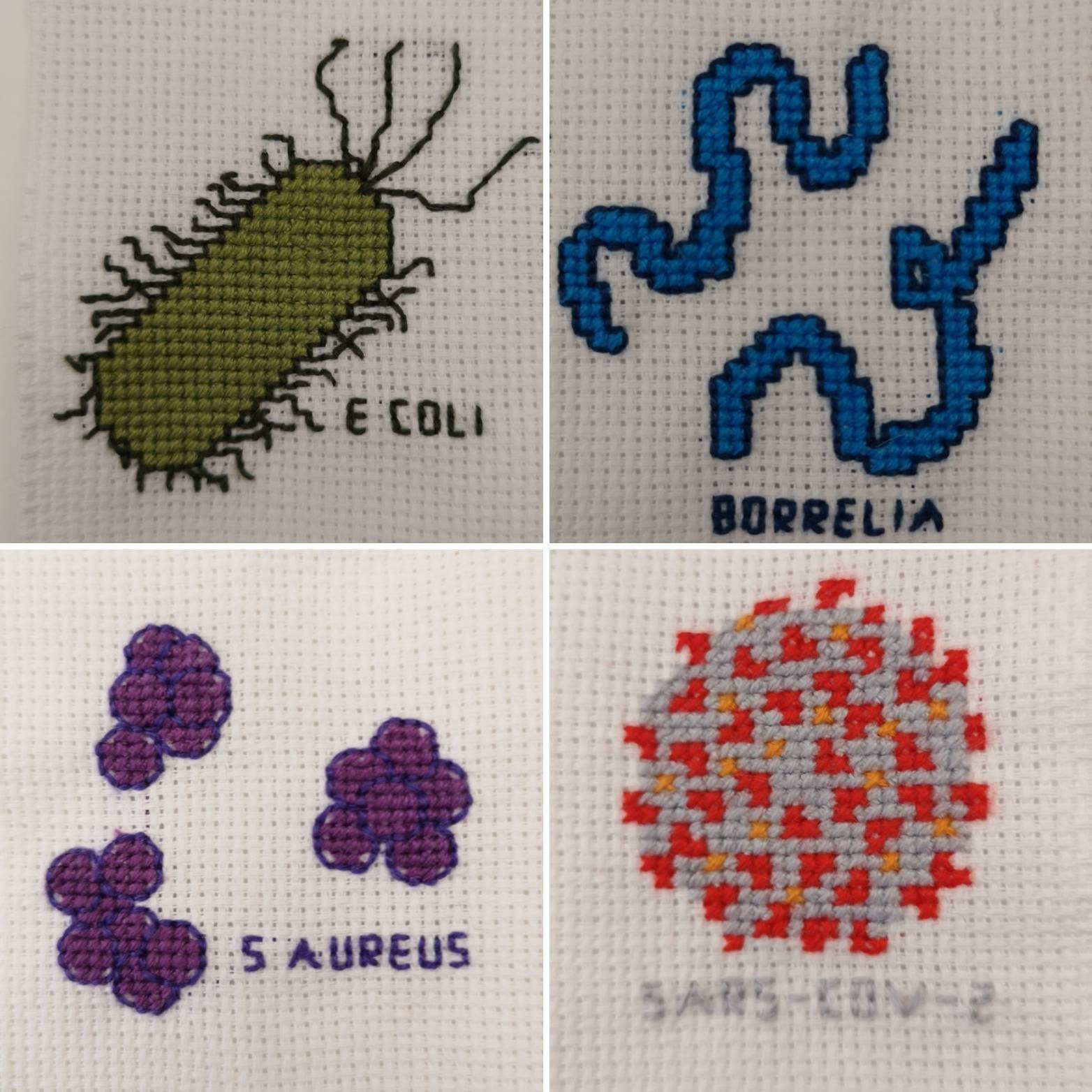 Microbe Cross Stitch Pattern Pack, Bacteria Cross Stitch, Virus Cross ...