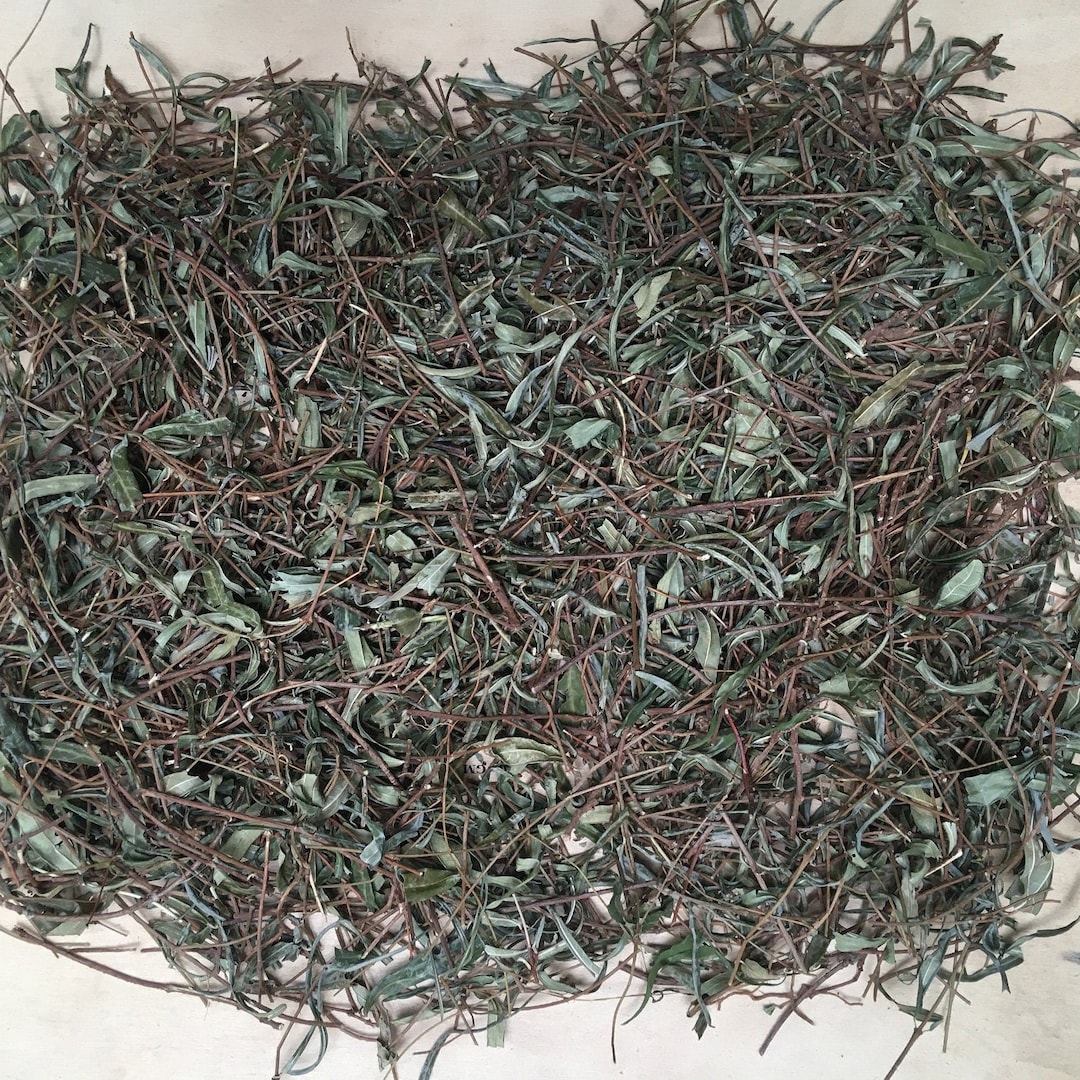 Dried sarsaparilla Iramusu saparna sarsa ba qia Hemidesmus - Etsy Italia