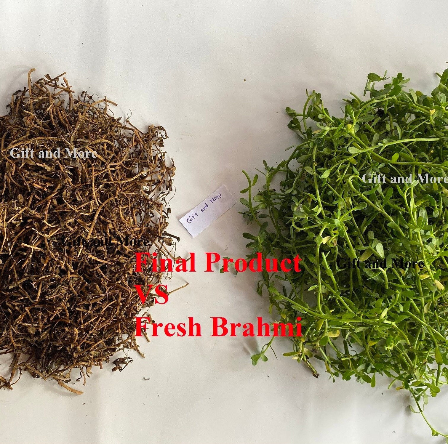 Bacopa Monnieri Organic Brahmi Whole Himalayan Brahmi Herb Waterhyssop ...