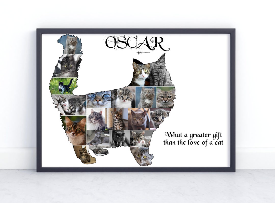Fluffy Cat Pet Personalised Photo Collage Gift. Animal Collage Gift ...