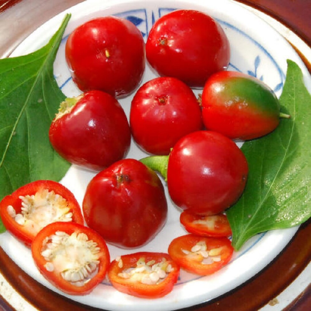 10 Sweet Red Cherry Pepper Seed - Sweet!! USA !! Beautiful ! Tasty ! - Etsy