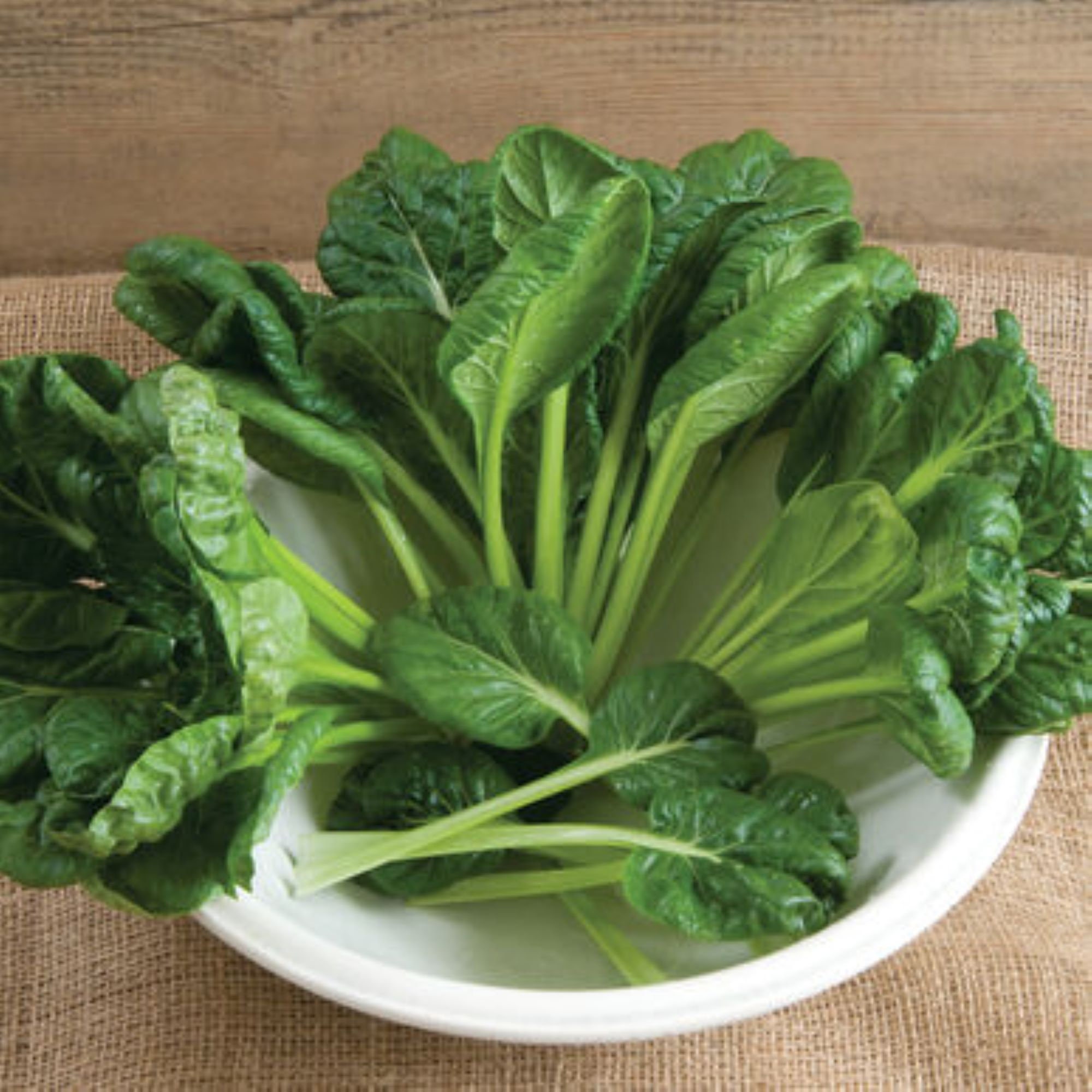 Organic Asian Tatsoi - Fresh/tasty Greens - Grown/harvested in USA ...
