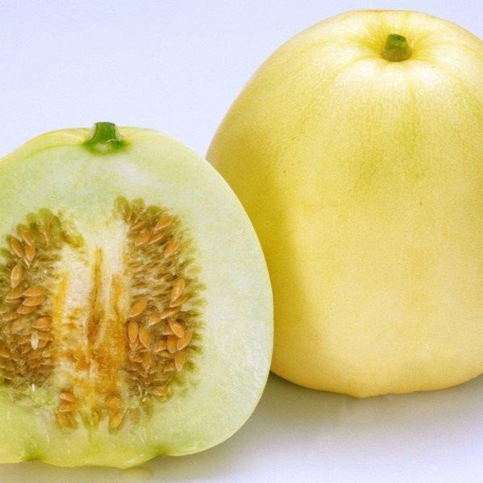 10 Heirloom Japanese New Melon Seeds - Sweet/juicy ! Grown in USA ...