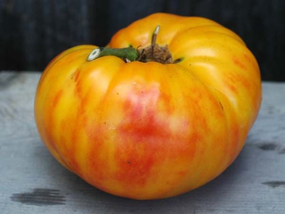 10 Heirloom Gold Medal Tomato Seeds - Grown in USA - Beautiful !! Juicy ...
