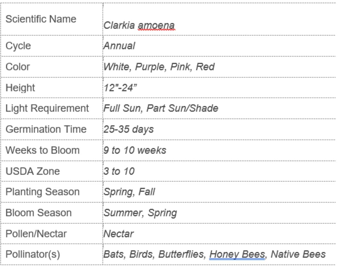 Godetia - Double Azalea Mix - Premium Flower Seed - Beautiful ! Grown ...