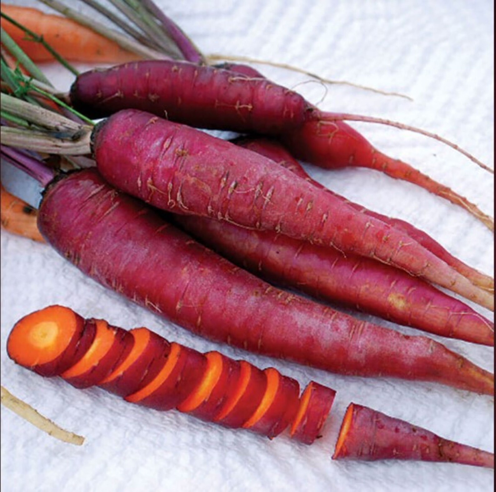 Purple Dragon Carrot Seeds - One Gram ! USA !! Unique ! Easy Plant ! - Etsy