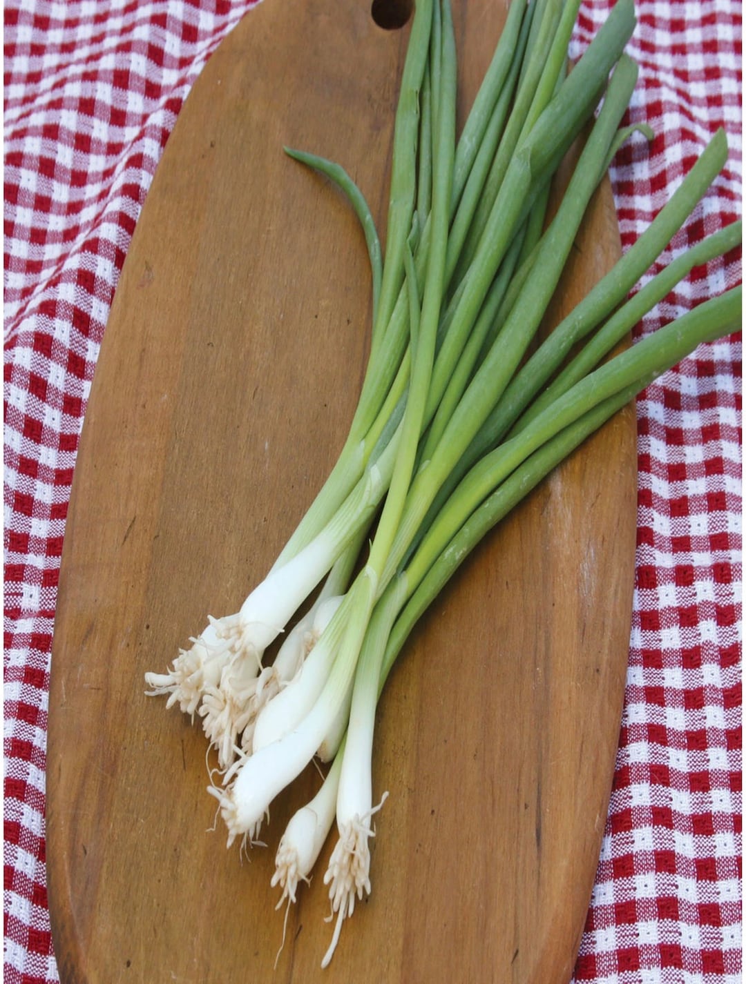 Heirloom Tokyo Long Bunching Onion Seeds - Tasty ! Fresh ! Green Onion ...