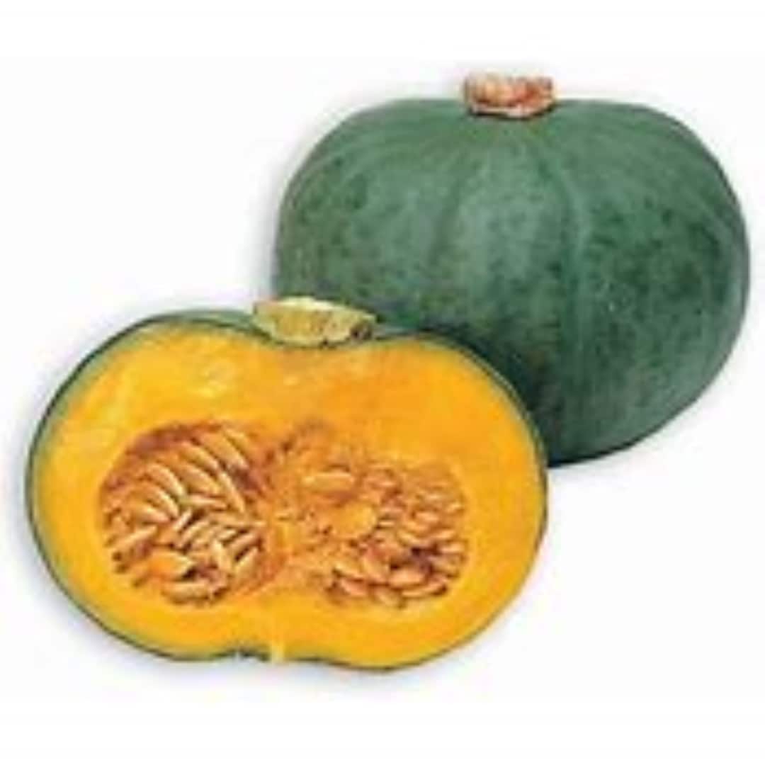 10 Heirloom Blue Kuri Japanese Squash - Specialty ! Kabocha ! Tasty ...