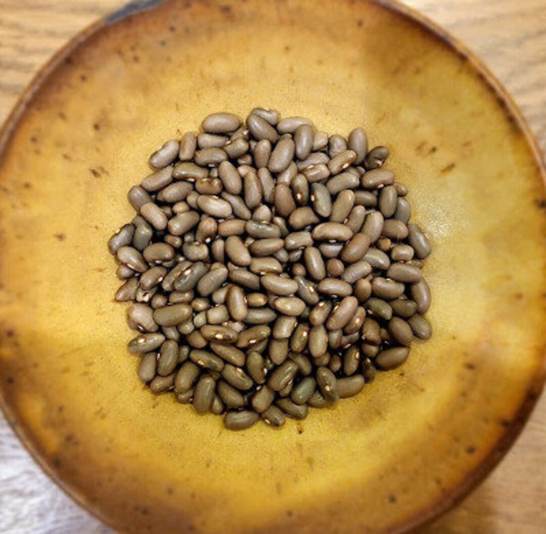 25 Heirloom Mbombo Bean Seeds - Grown in USA ! Tasty ! Crisp ! Fresh ...