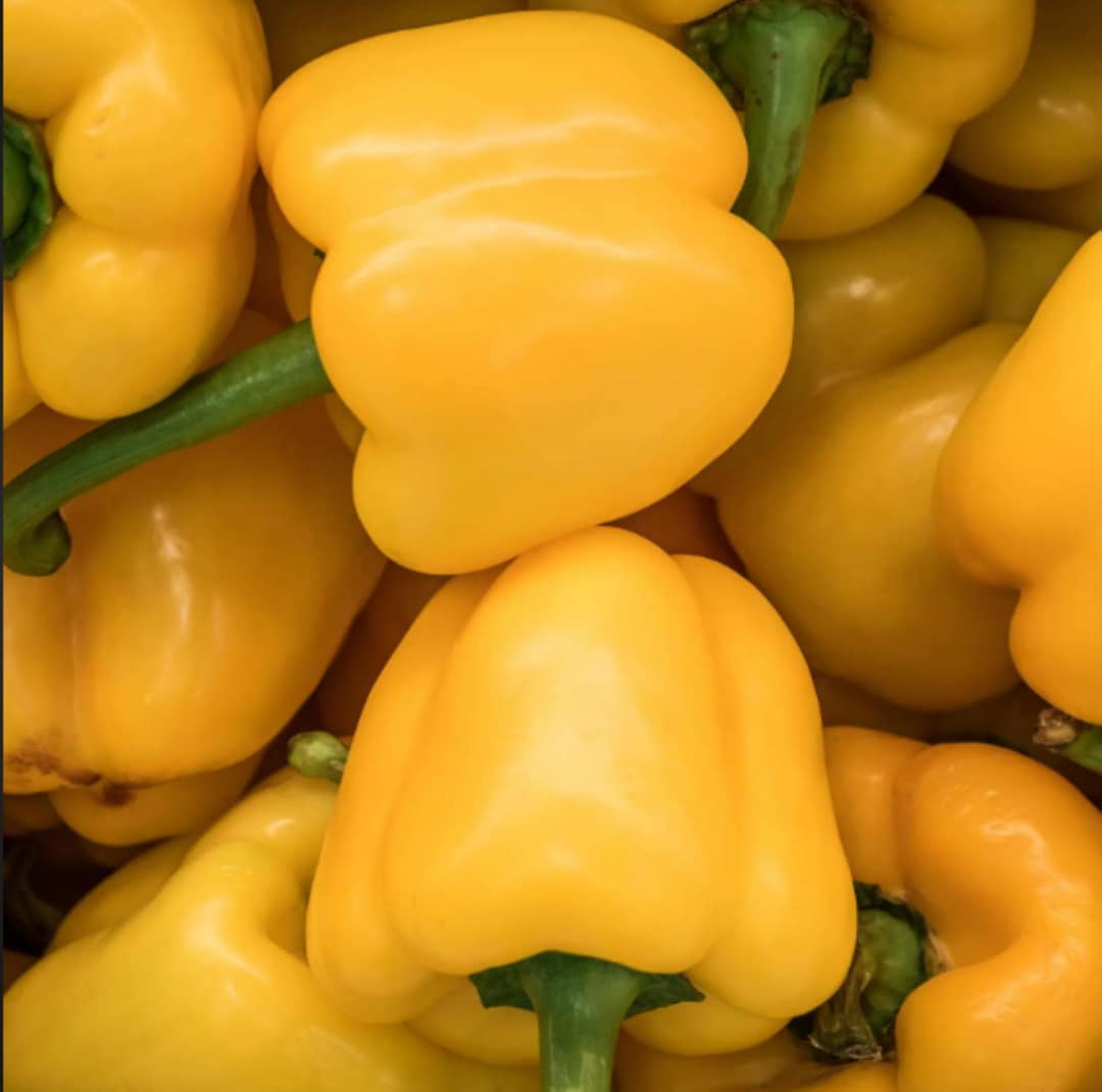 10 Mini Yellow Bell Pepper Seeds - Grown/harvested in USA !! Beautiful ...