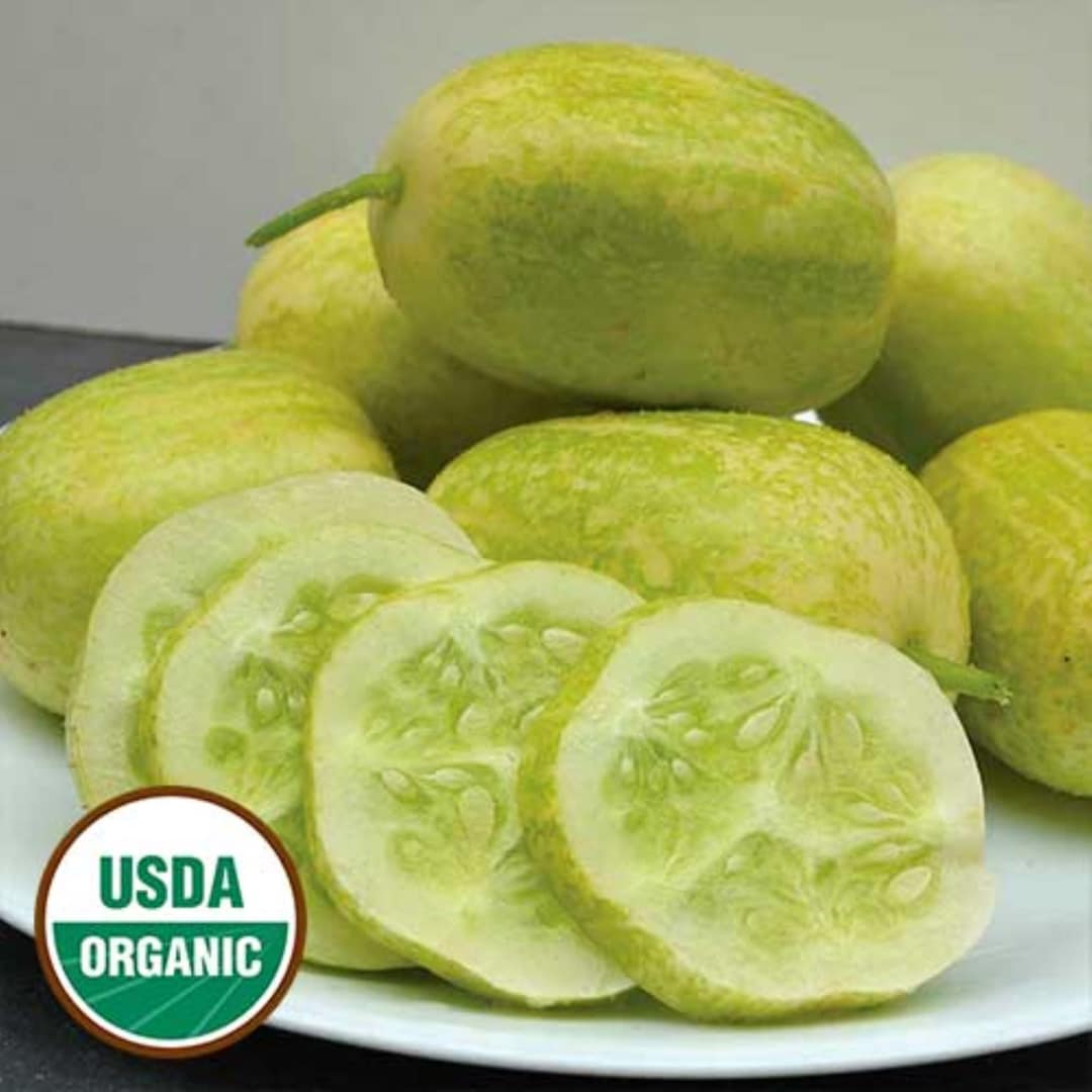 10 Organic Crystal Apple Cucumber Seeds - Grown/harvested in USA ...
