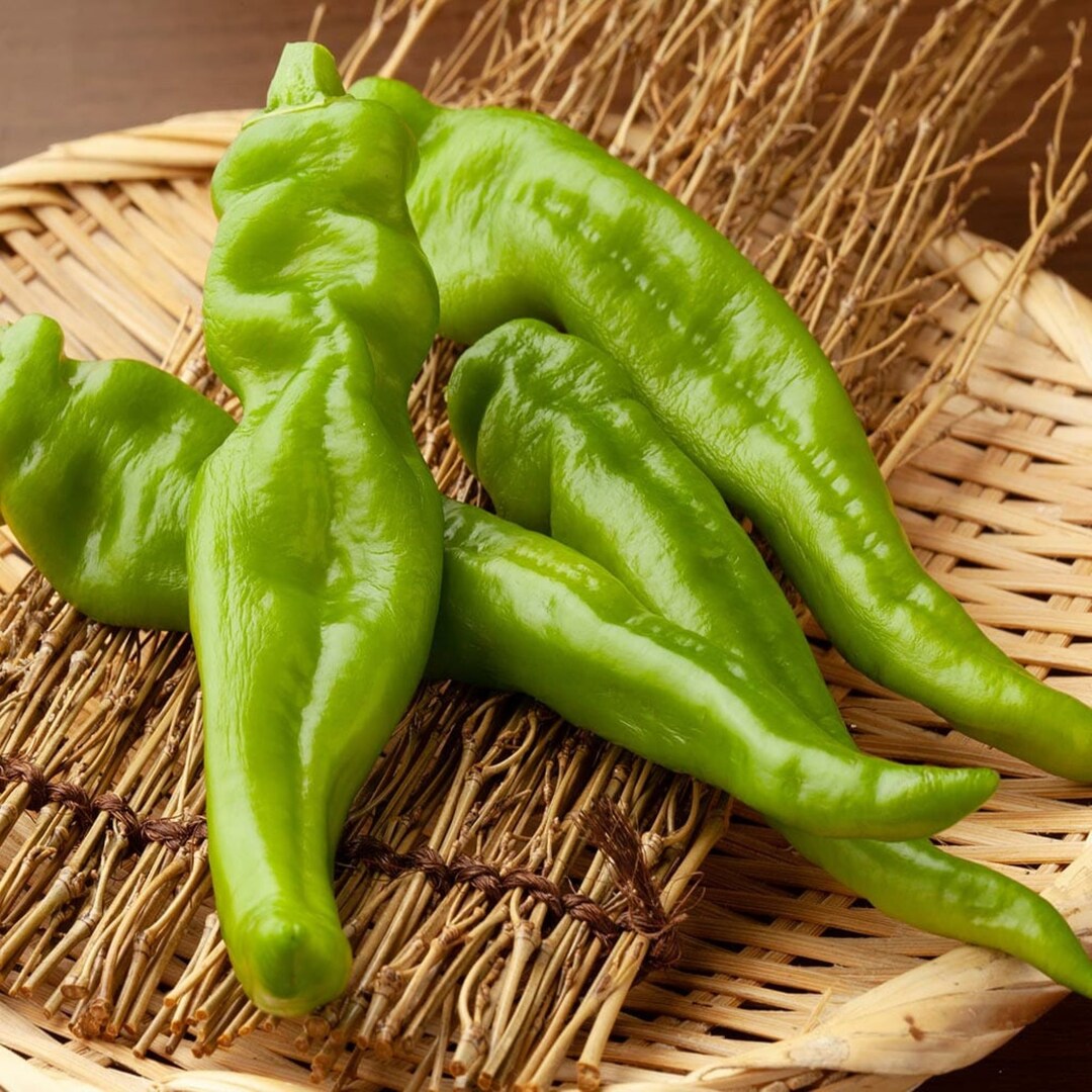 10 Heirloom Manganji Sweet Pepper Seeds - Specialty ! Japanese ! Tasty ...