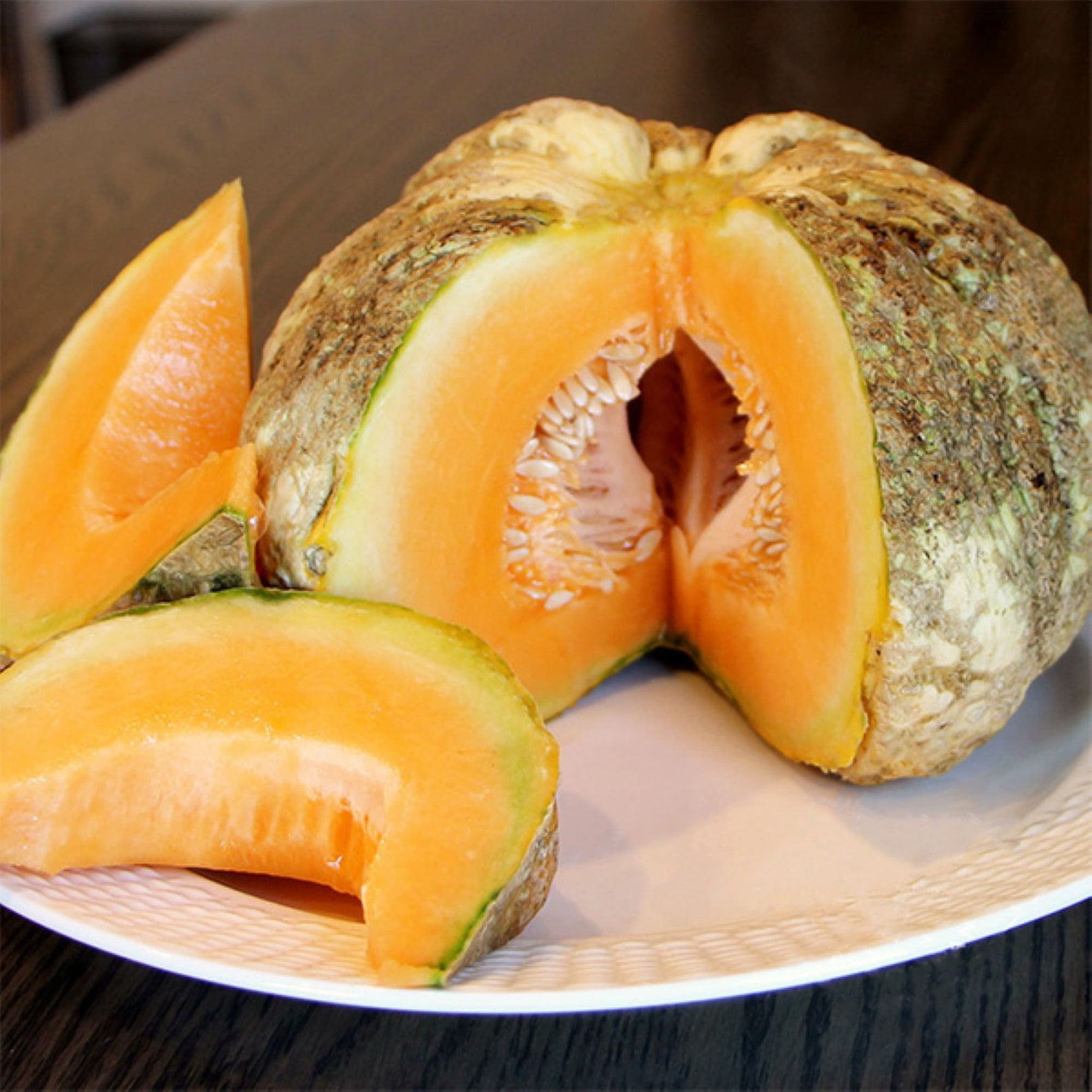 10 Prescott Fond Blanc Melon Seeds Grown/harvested in USA - Sweet ...