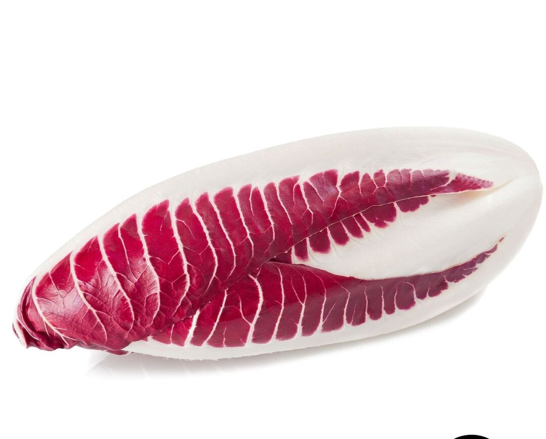 Endive - Red Treviso One Gram, Approx 100 Seeds - Grown/harvested in ...