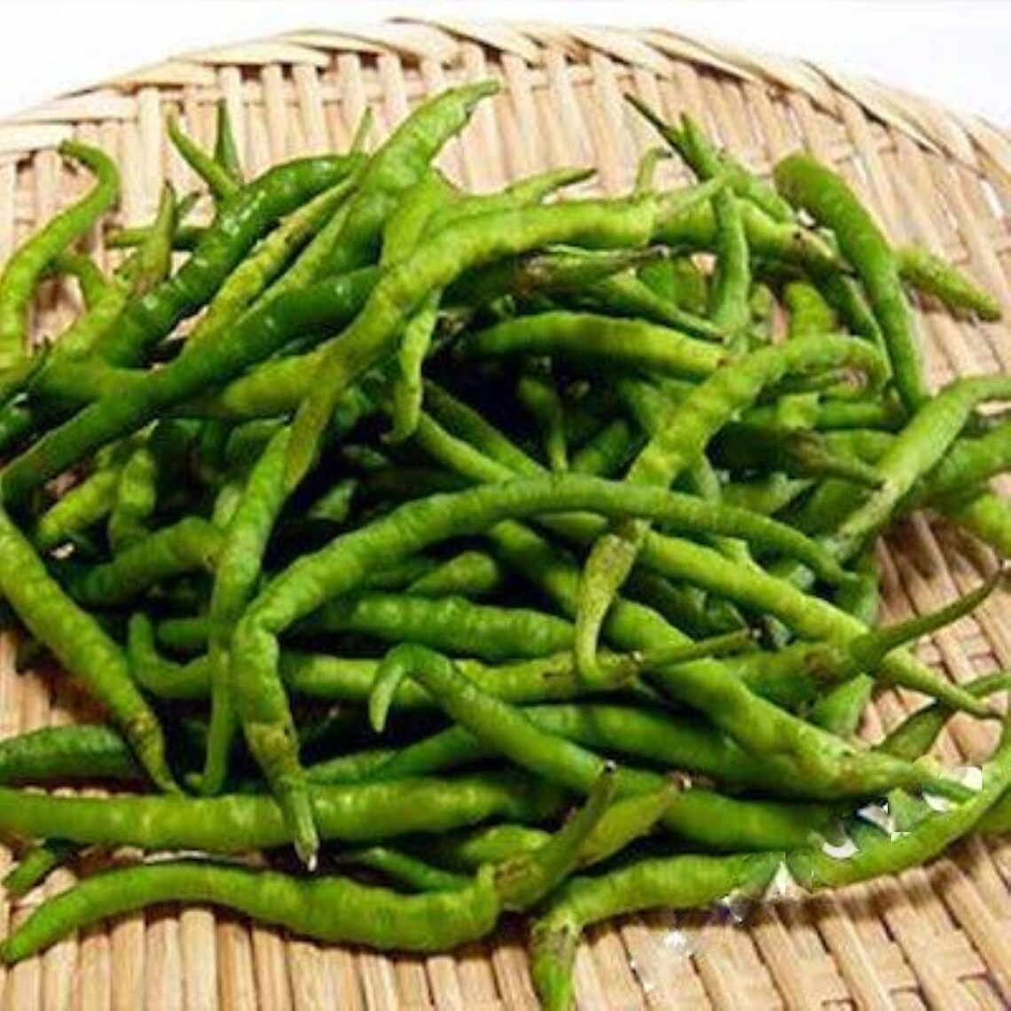 10 Heirloom Himo Togarashi Sweet Pepper Seeds - Japanese ! Specialty ...