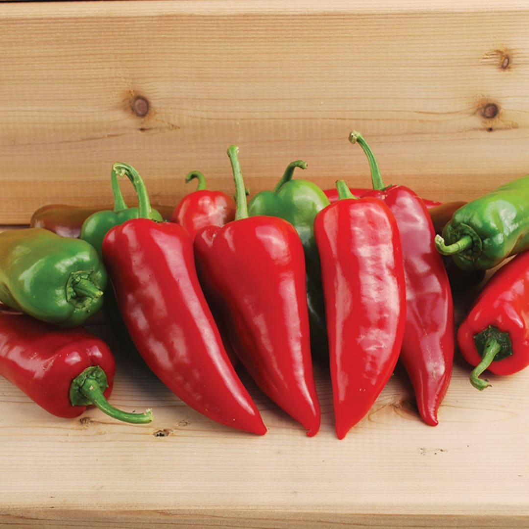 10 Chervena Chushka Pepper Seeds - Grown/harvested in USA - Sweet ...