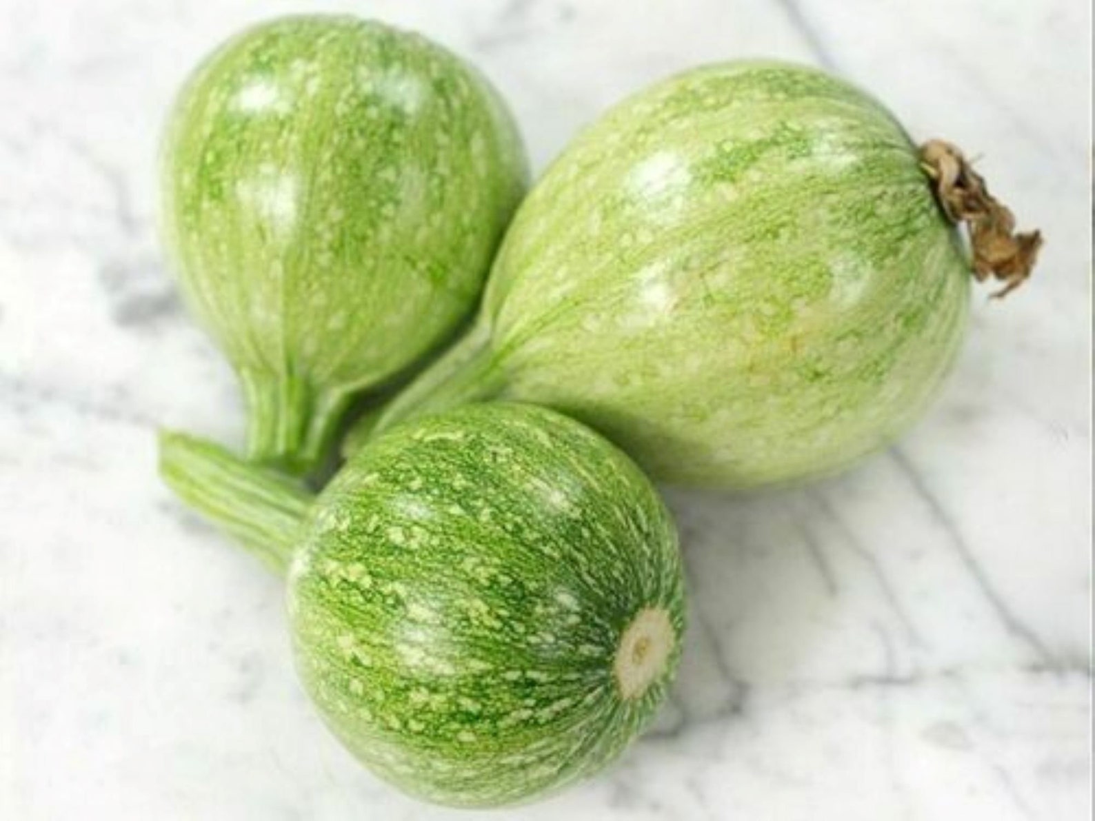 10 French Heirloom Ronde De Nice Squash Seeds - Unique ! Delicious ...