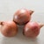 Red Long of Florence Onion Seed Beautiful Tasty Sweet Grown in USA ...