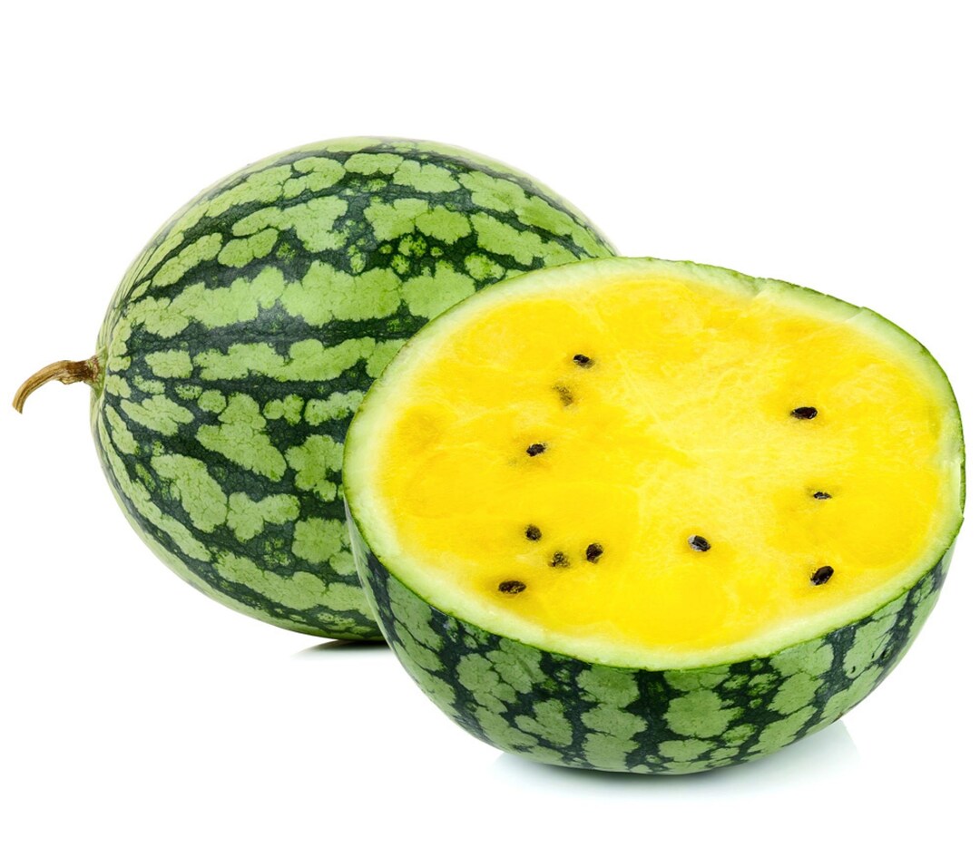 10 Yellow Petite Watermelon Seeds Free Ship Sweet Grown in USA - Etsy