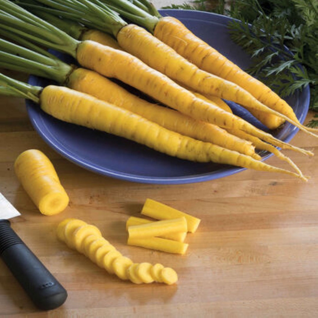 Organic Yellowstone Pelleted Carrot Seeds - 100 Seeds ! USA !! Unique ...