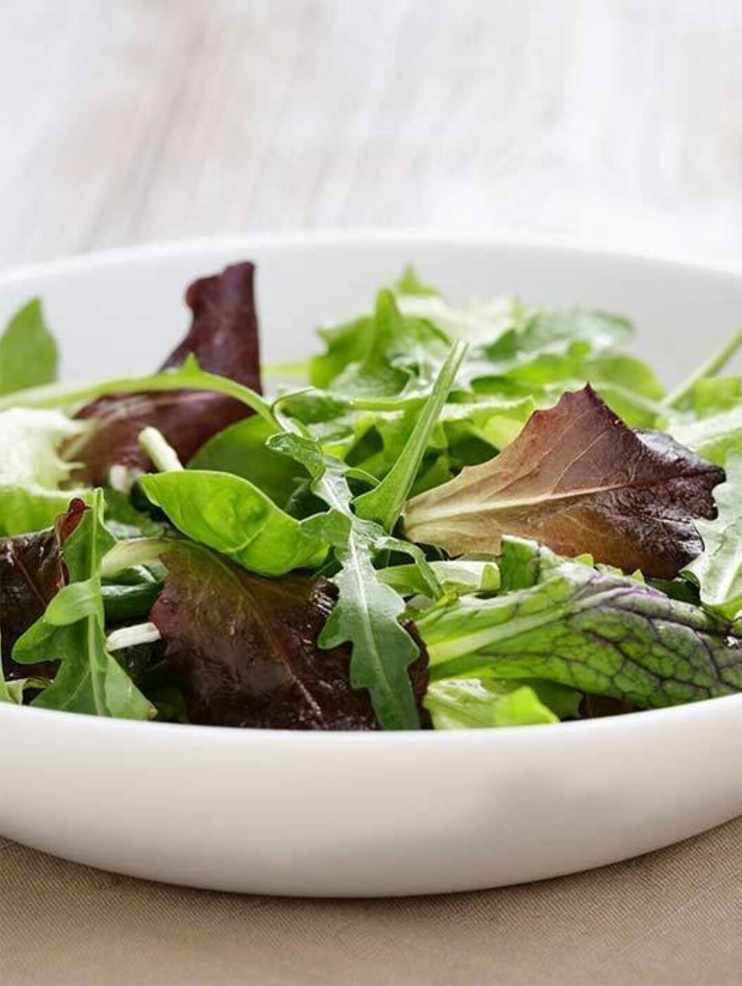 Heirloom Mesclun Lettuce Mix - Grown and Harvested in USA ! One Gram ...